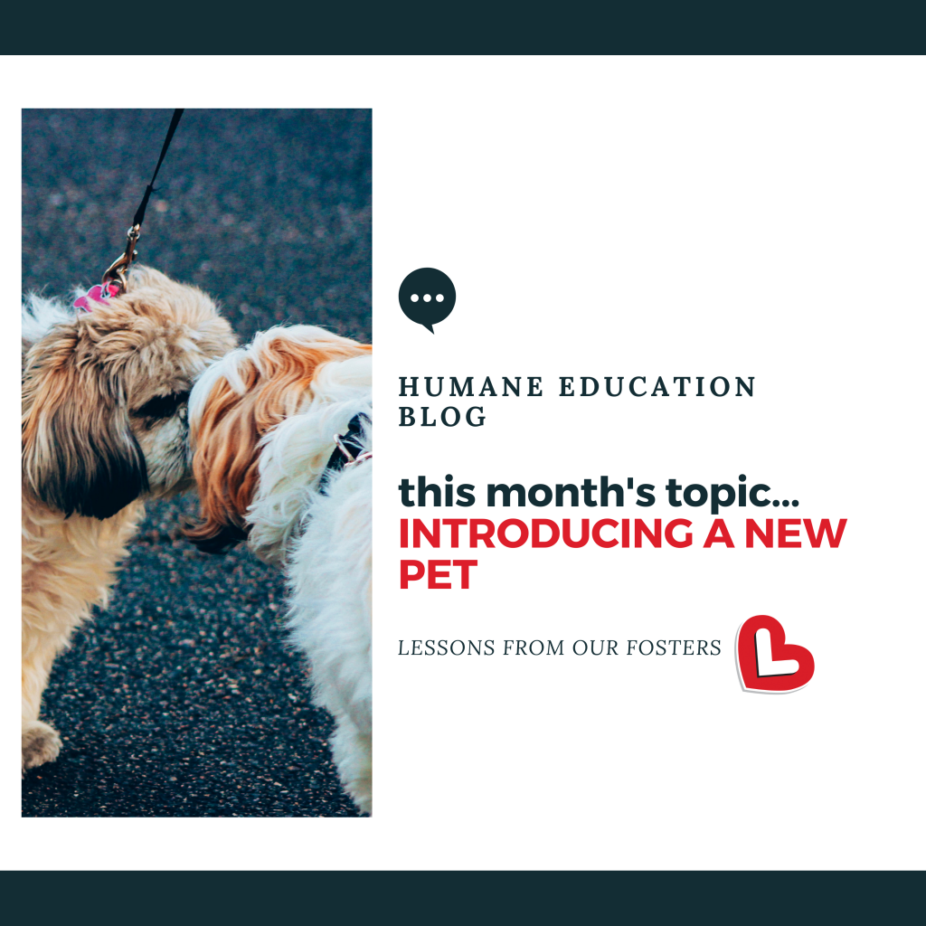 Blog – Laber of Love