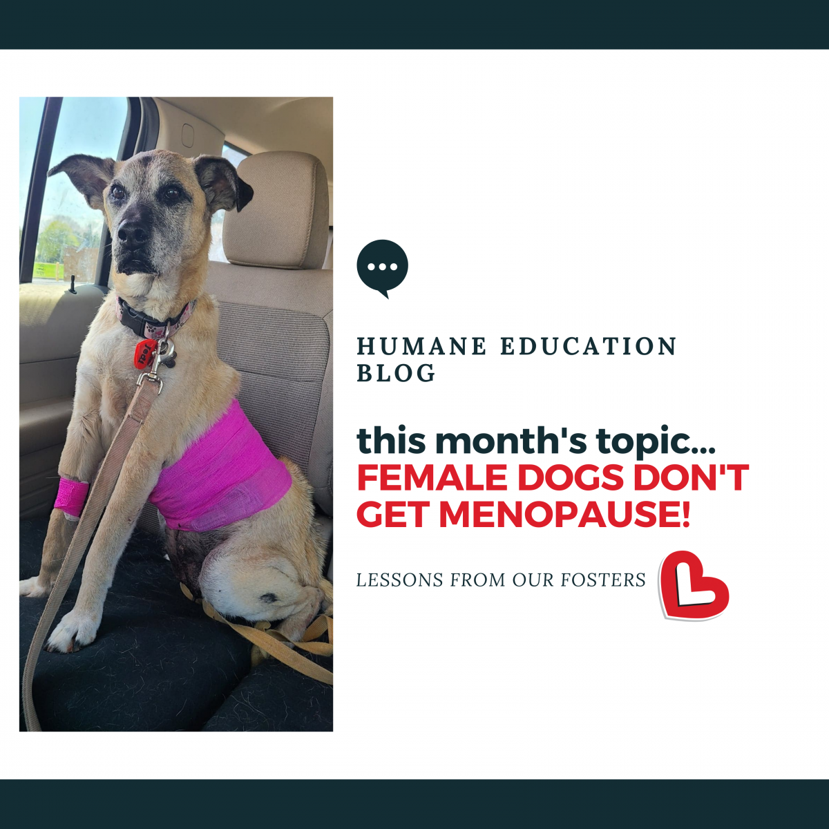 Blog – Laber of Love