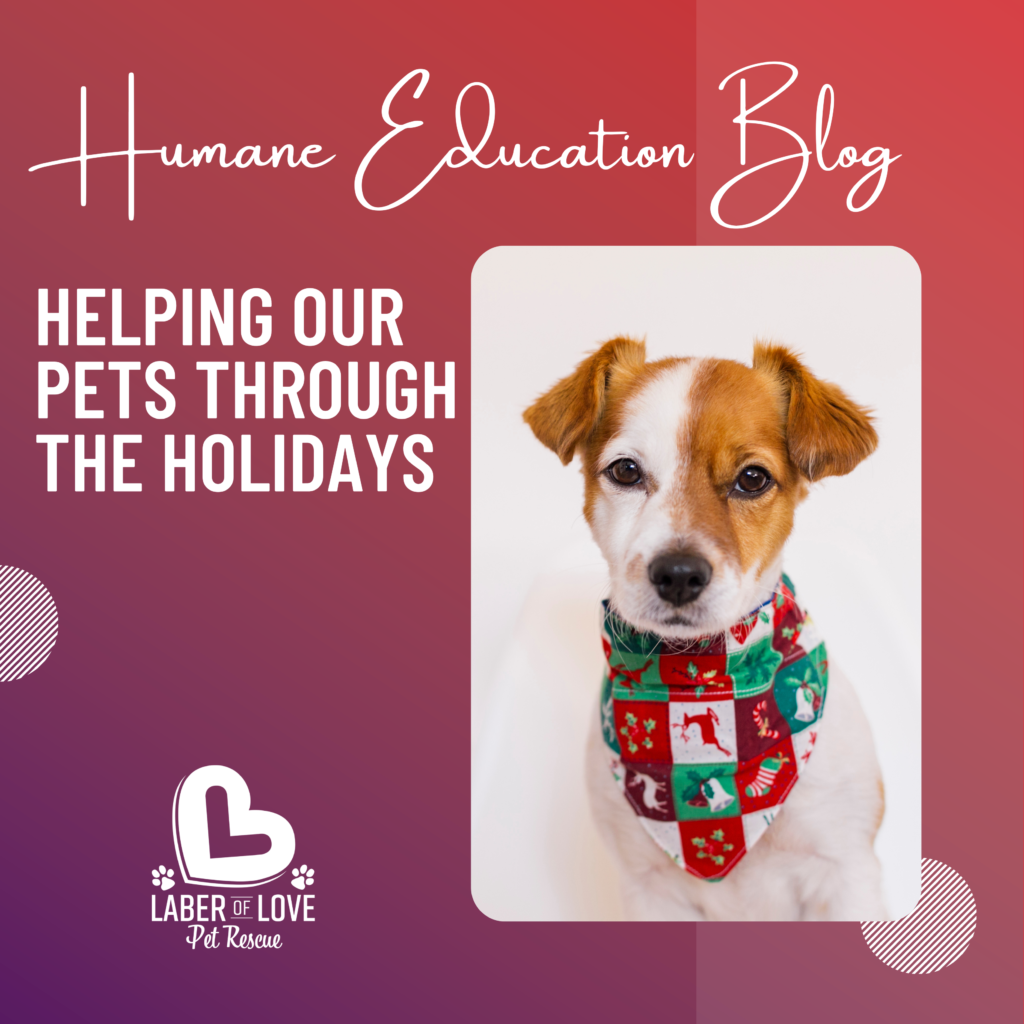 Blog – Laber of Love